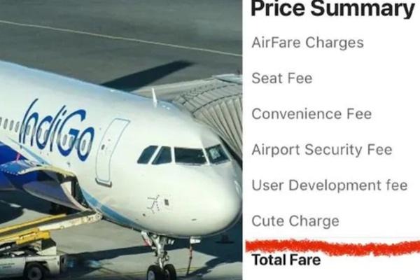 Indigo Airlines: Indigo Airlines charges ‘cute fee’ from passengers, air..